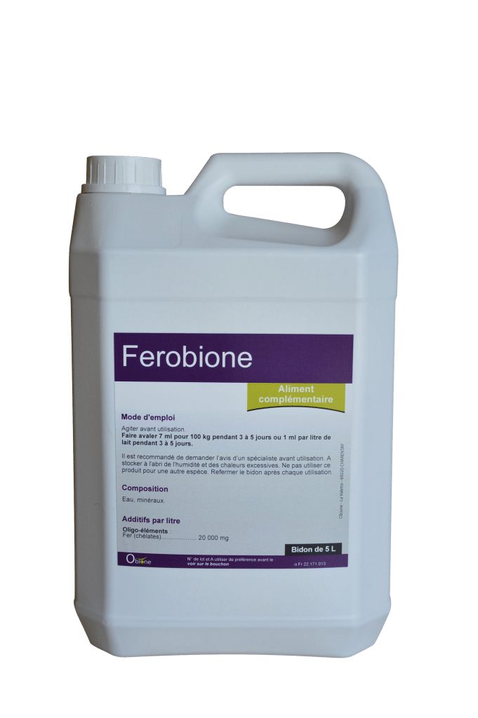 Preparing animals for shows - OBIONE