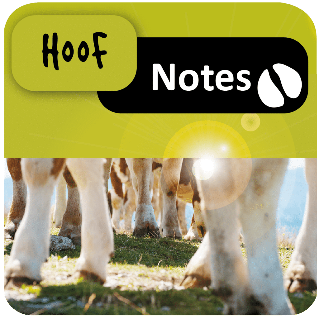 Les solutions Obione : Hoof&Cow Range - OBIONE