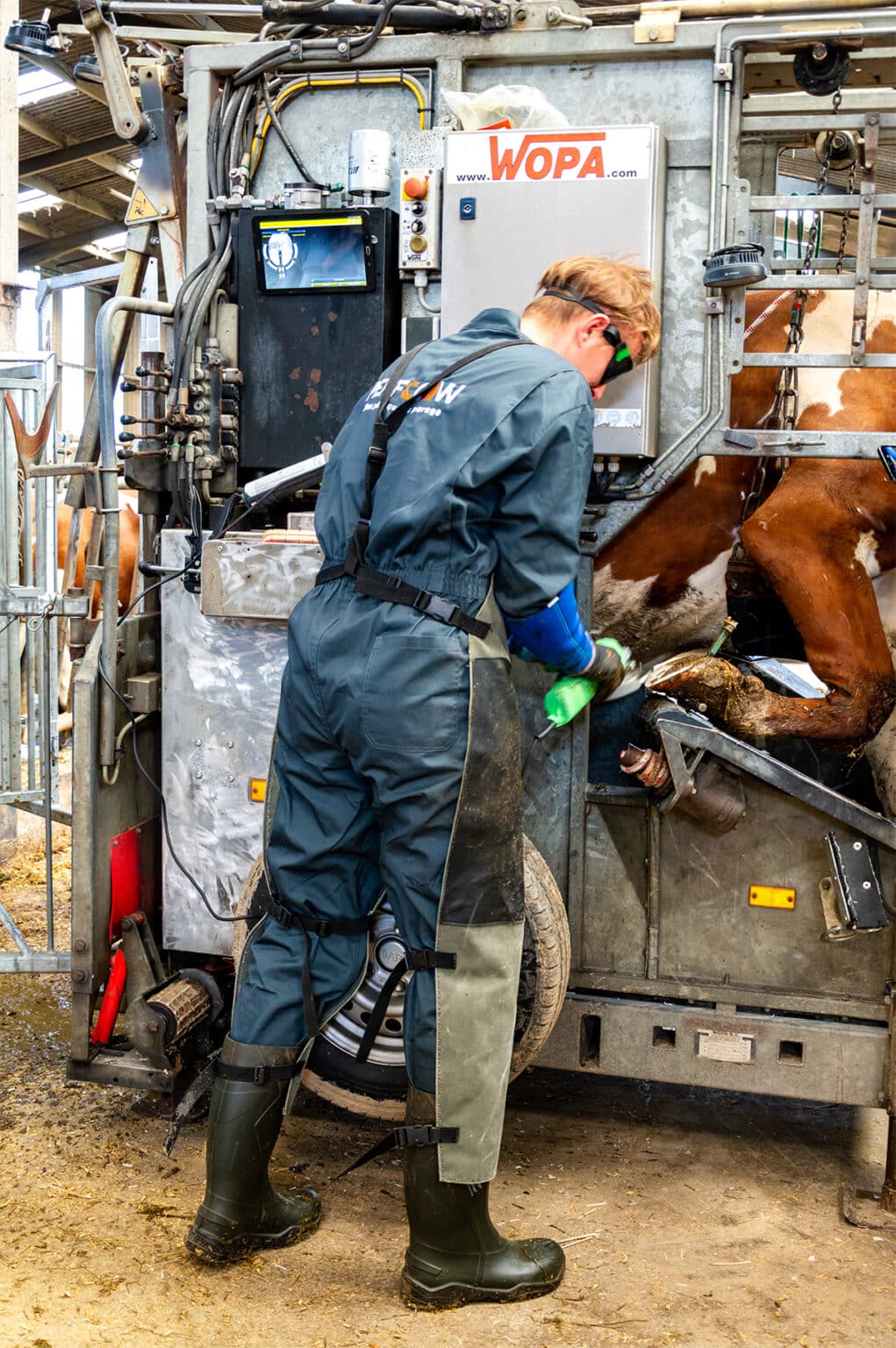 La fréquence du parage a un impact sur la santé à long terme - OBIONE